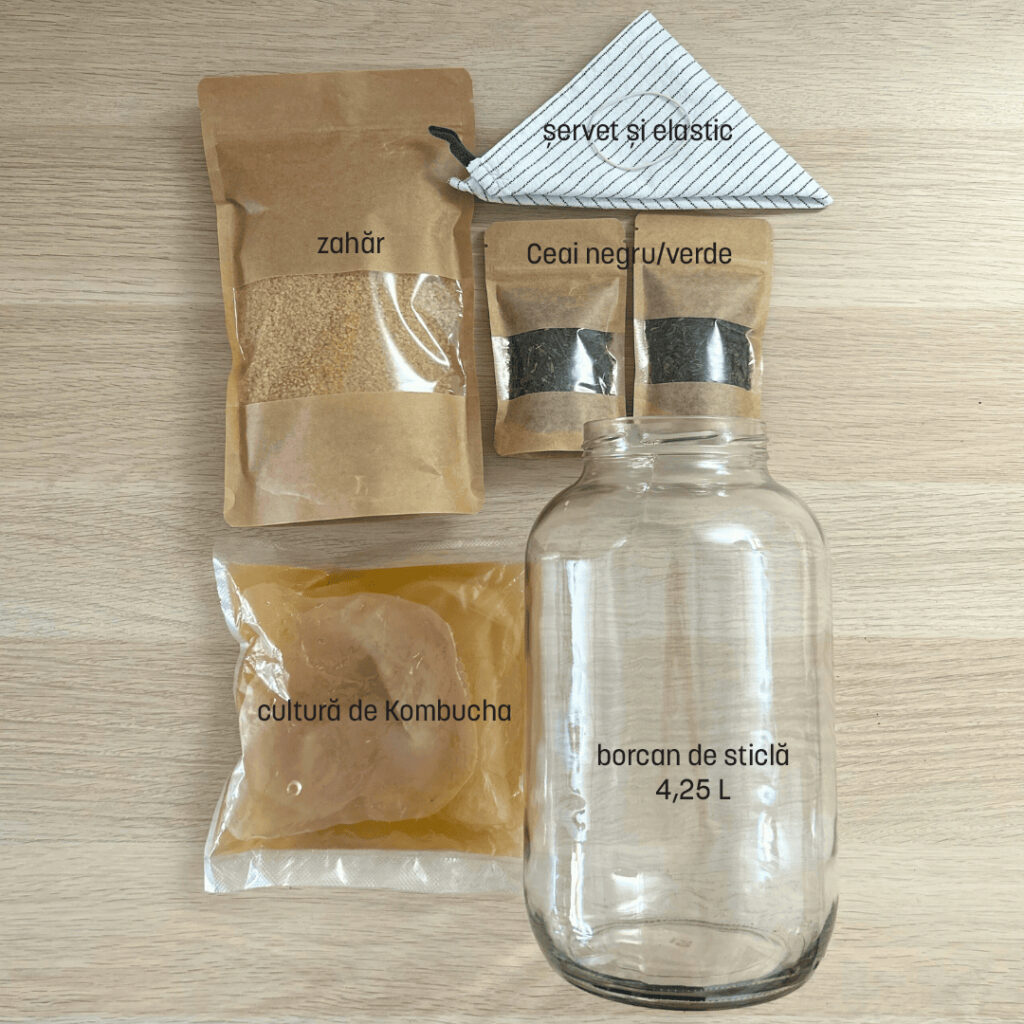 Set pentru pregătire kombucha acasă, kit kombucha