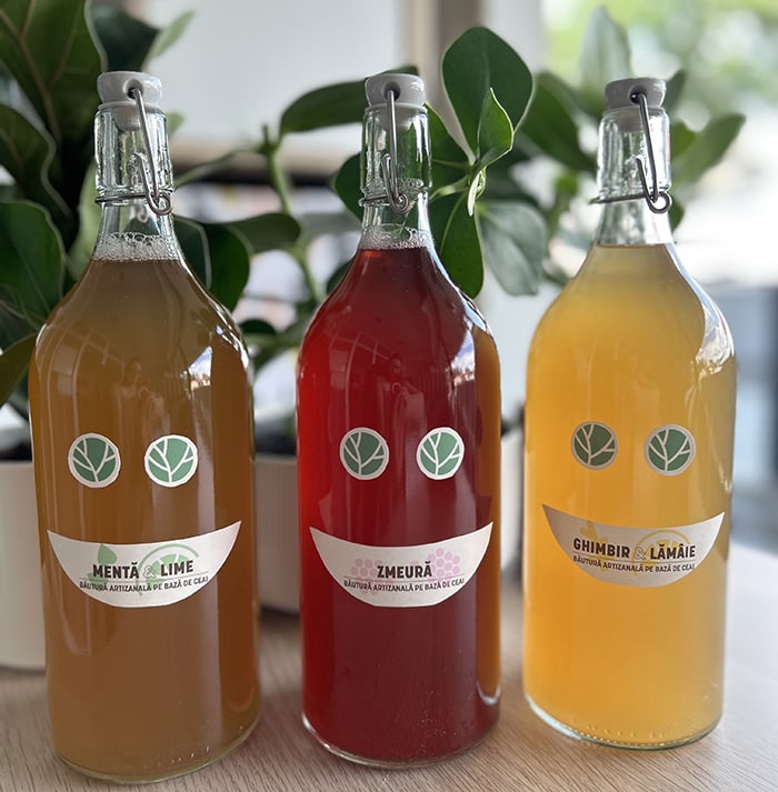 Reteta Kombucha – Cum prepari acasa un ceai Kombucha?