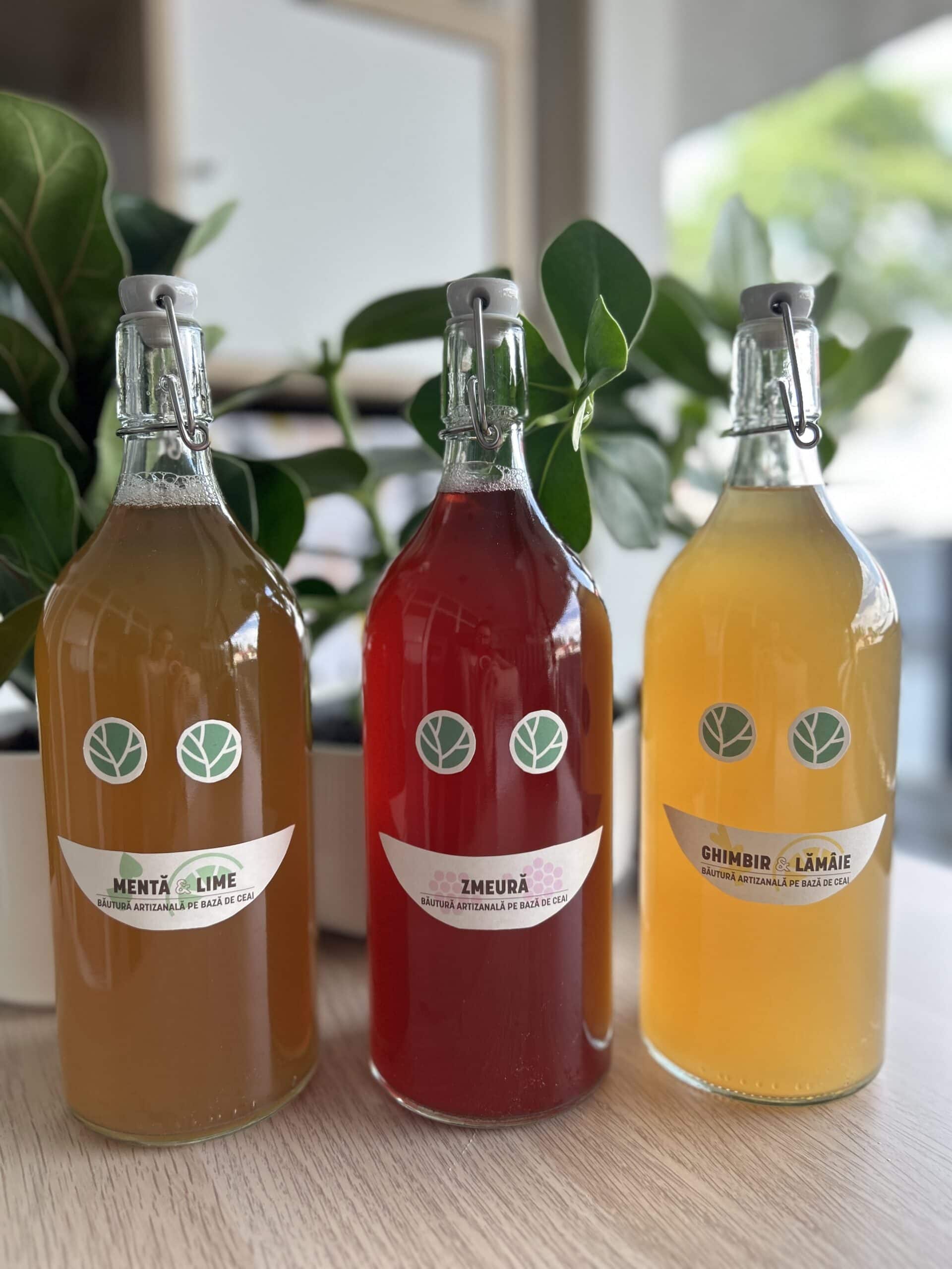 Reteta Kombucha – Cum prepari acasa un ceai Kombucha?